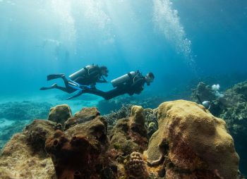 La plongée sous-marine : des origines à nos jours :: par Aqua Tao